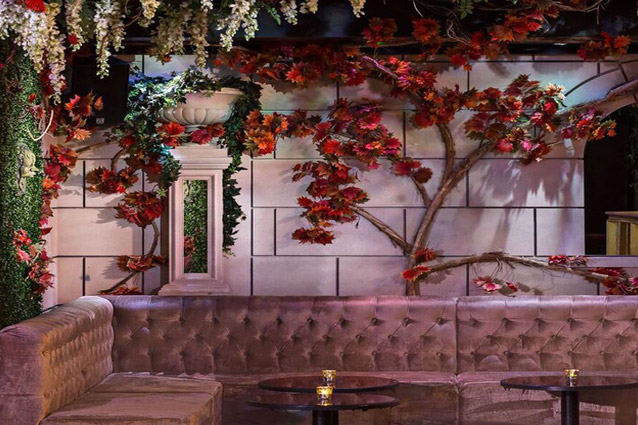 Cuckoo Club - Club Bookers